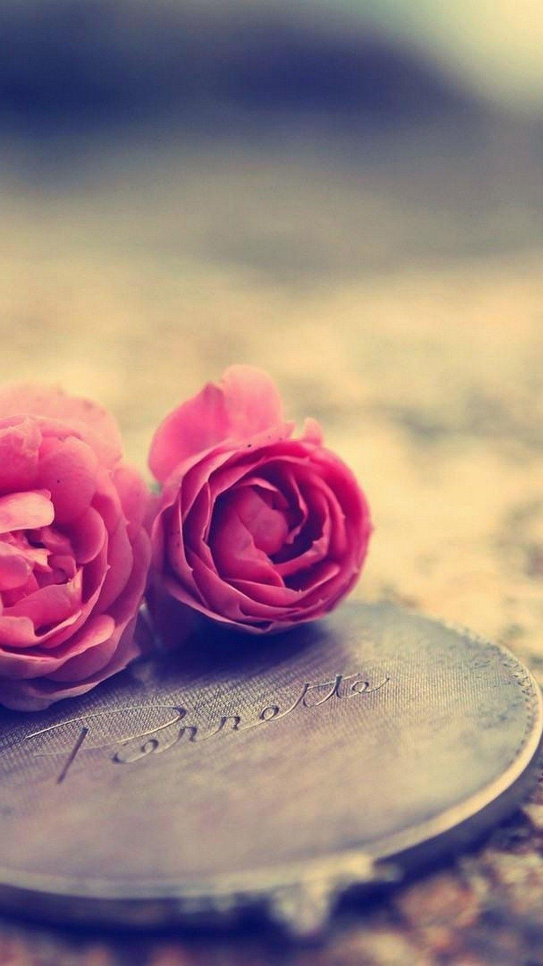 Tumblr Beautiful Wallpapers - Top Free Tumblr Beautiful Backgrounds ...