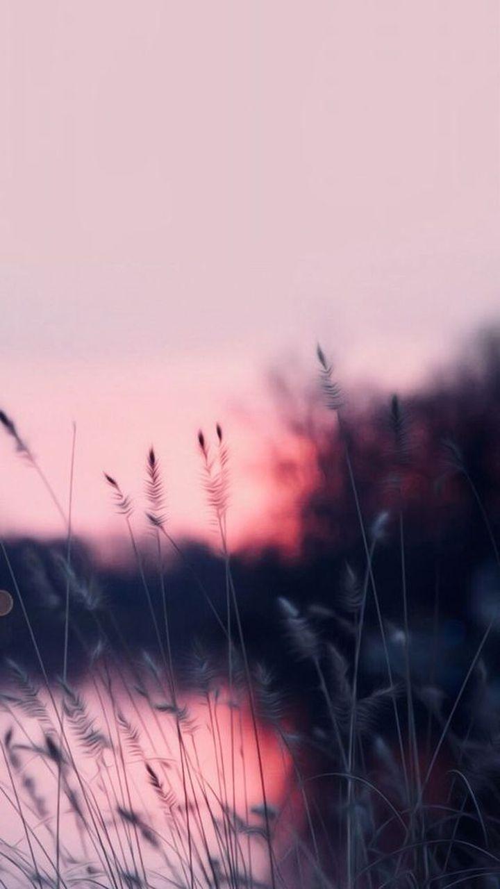 Tumblr Beautiful Wallpapers - Top Free Tumblr Beautiful Backgrounds ...