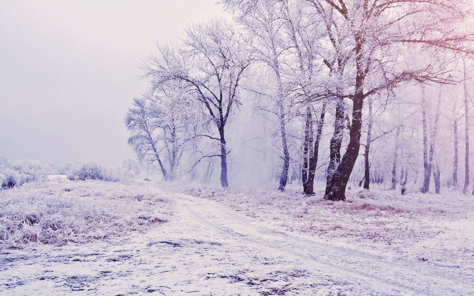 Beautiful Snow Forest Wallpapers - Top Free Beautiful Snow Forest ...