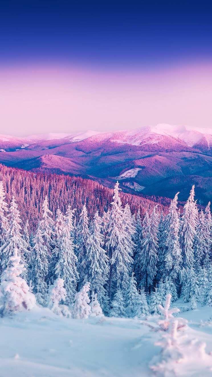 Beautiful Snow Forest Wallpapers - Top Free Beautiful Snow Forest ...