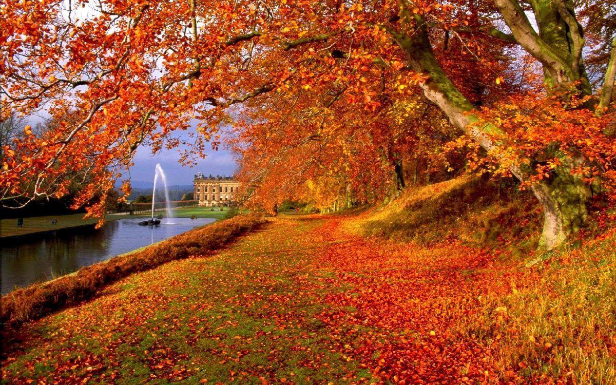 France Autumn Wallpapers - Top Free France Autumn Backgrounds ...