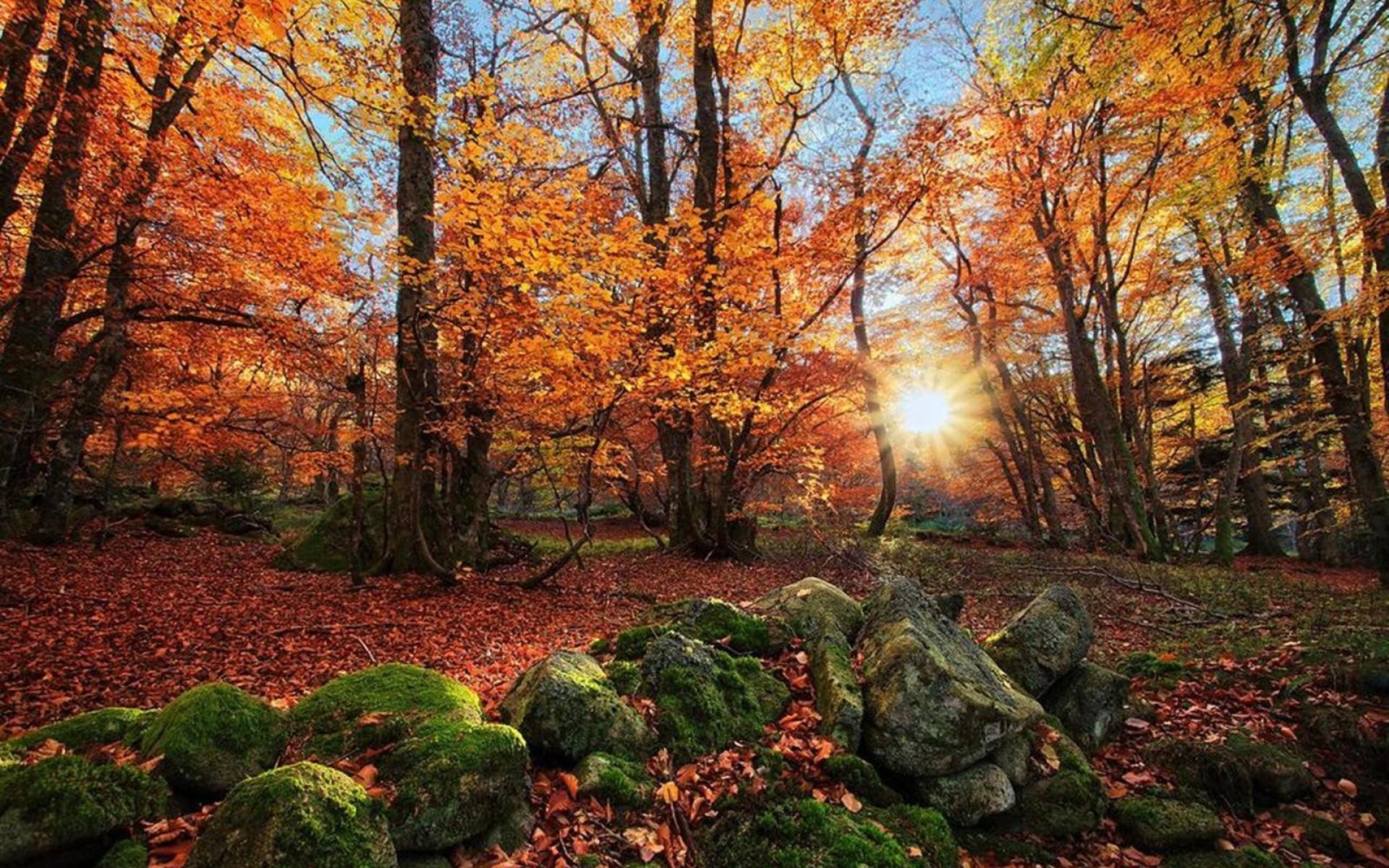 Autumn France Wallpapers - Top Free Autumn France Backgrounds ...