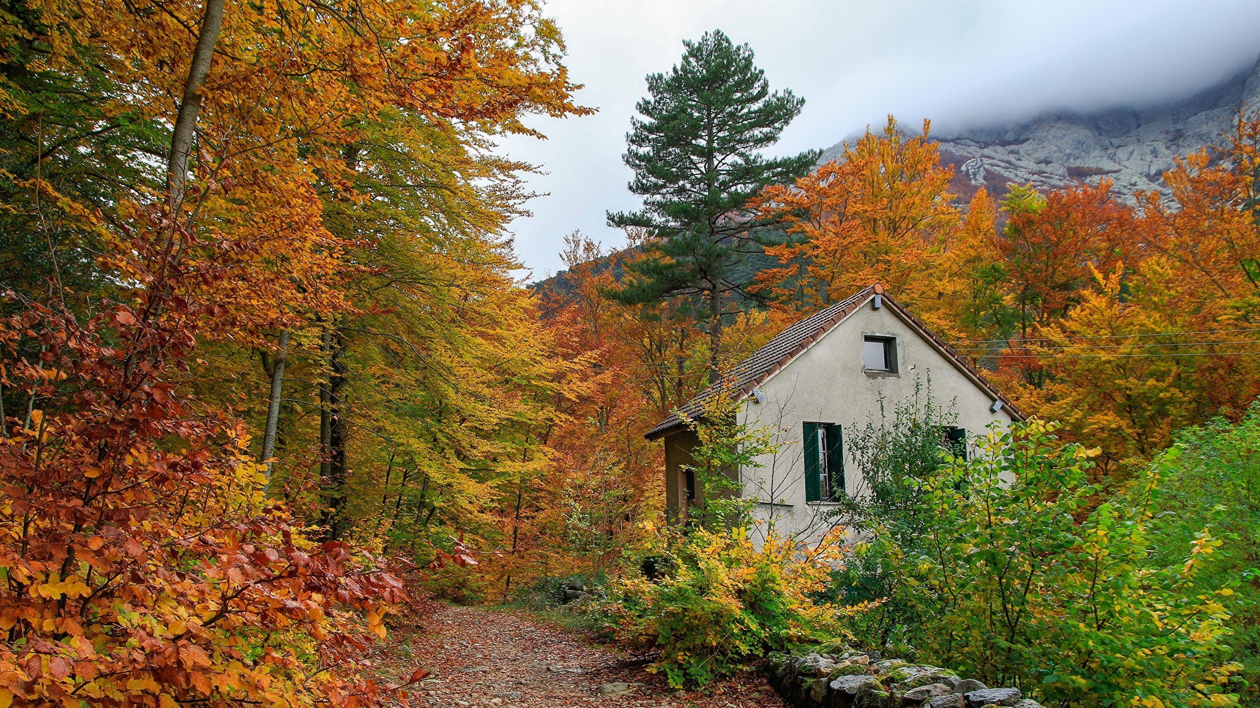 France Autumn Wallpapers - Top Free France Autumn Backgrounds ...