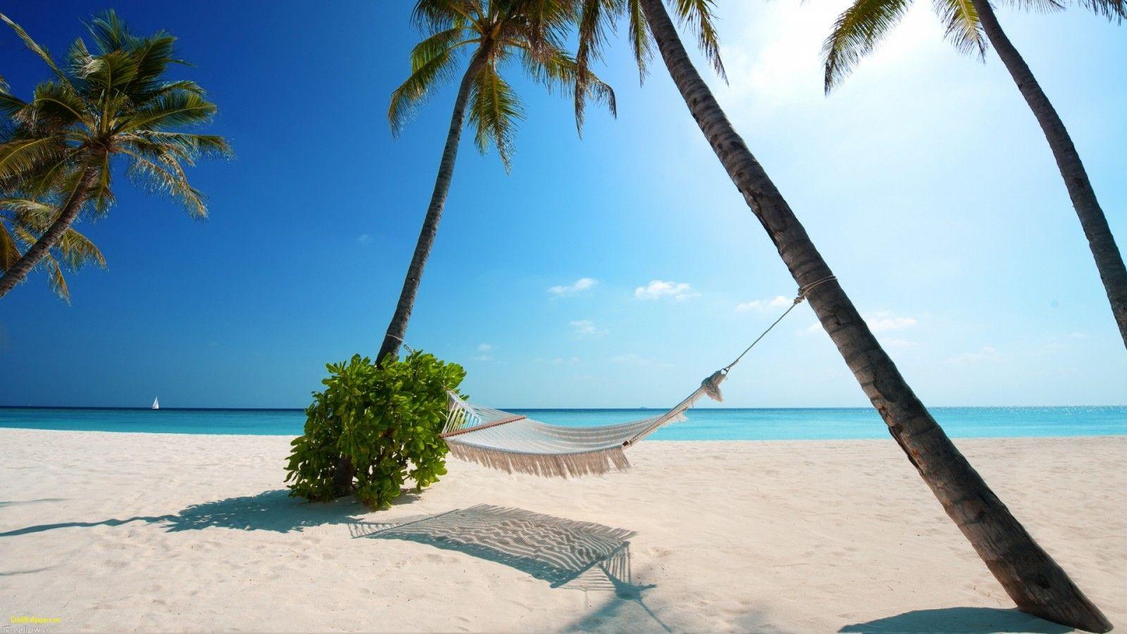 Paradise Wallpapers - Top Free Paradise Backgrounds - WallpaperAccess