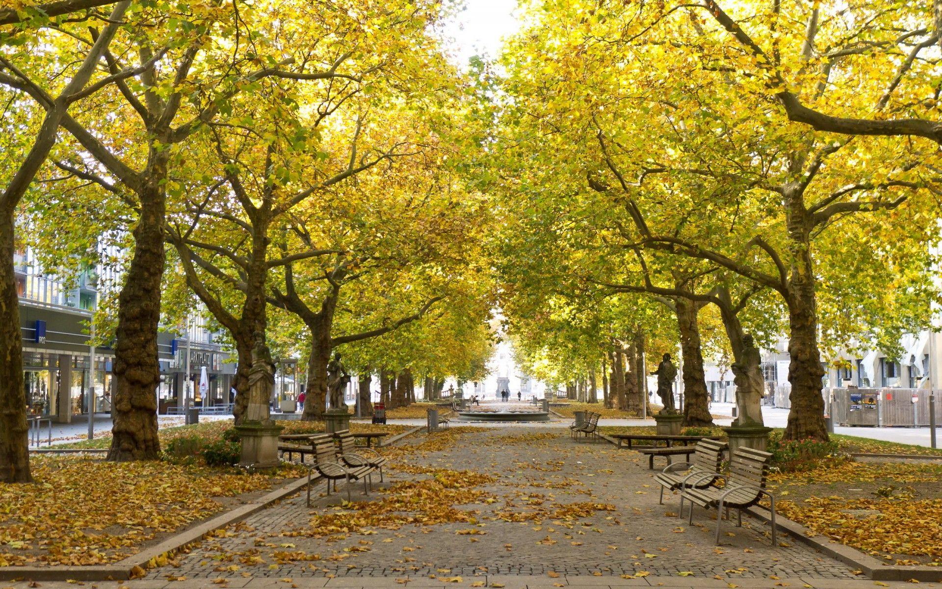 France Autumn Wallpapers - Top Free France Autumn Backgrounds ...