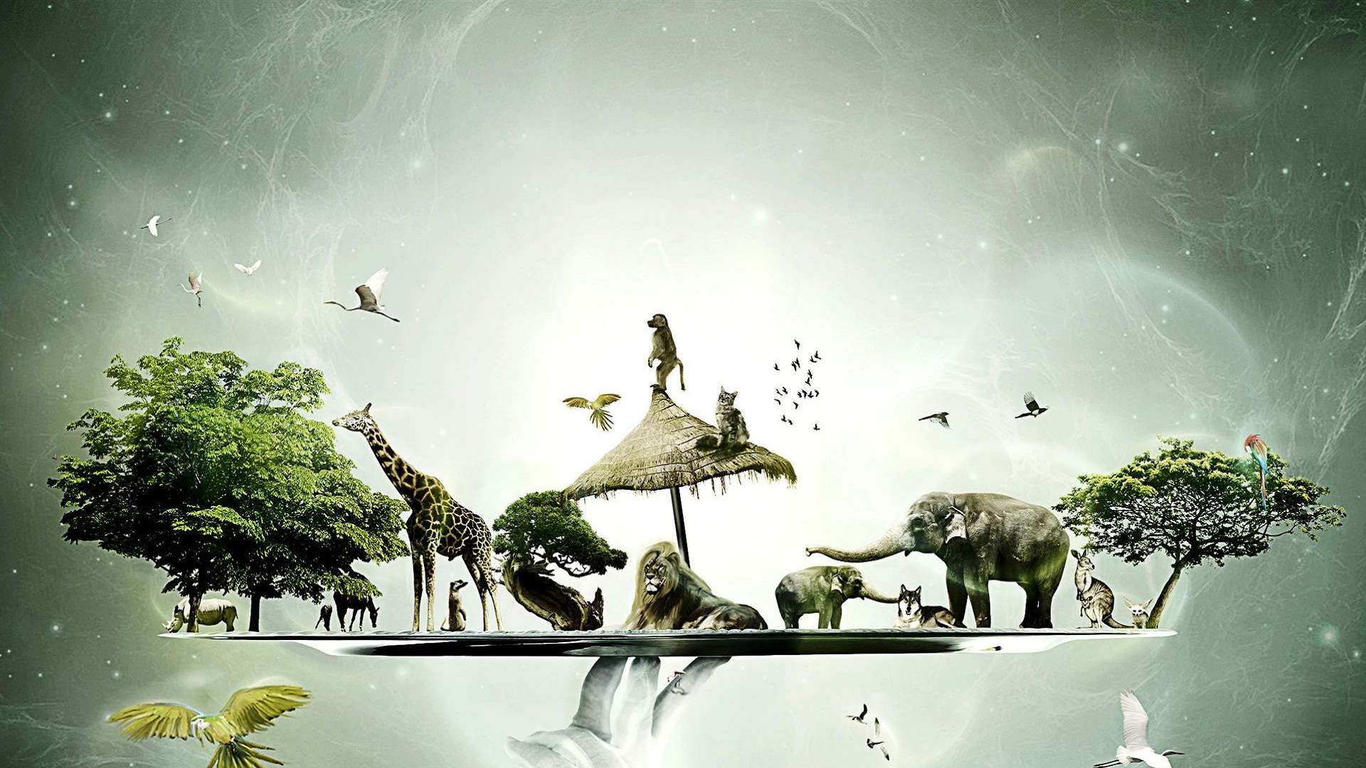 Awesome Animal Wallpapers - Top Free Awesome Animal Backgrounds ...