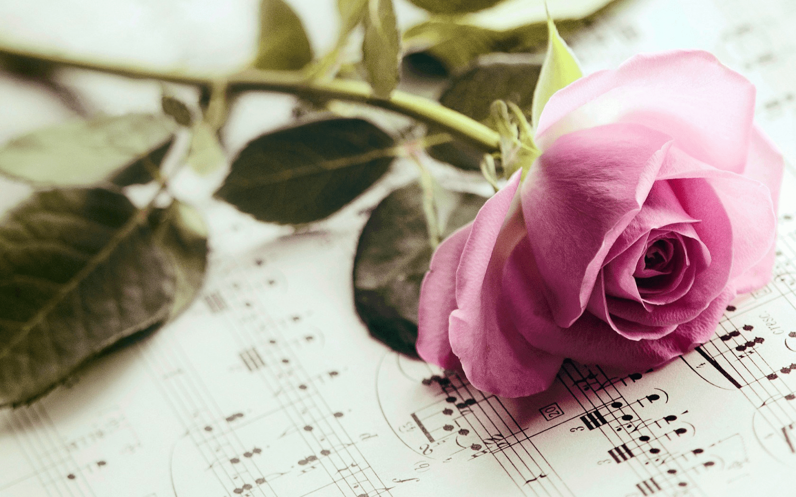 Pink Music Wallpapers - Top Free Pink Music Backgrounds - WallpaperAccess