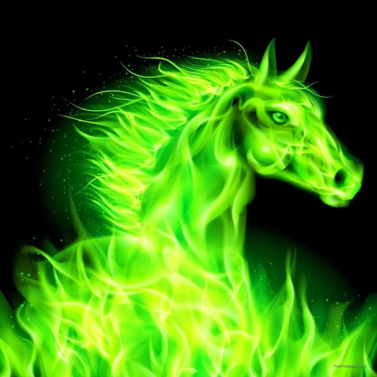 Awesome Animal Wallpapers - Top Free Awesome Animal Backgrounds ...