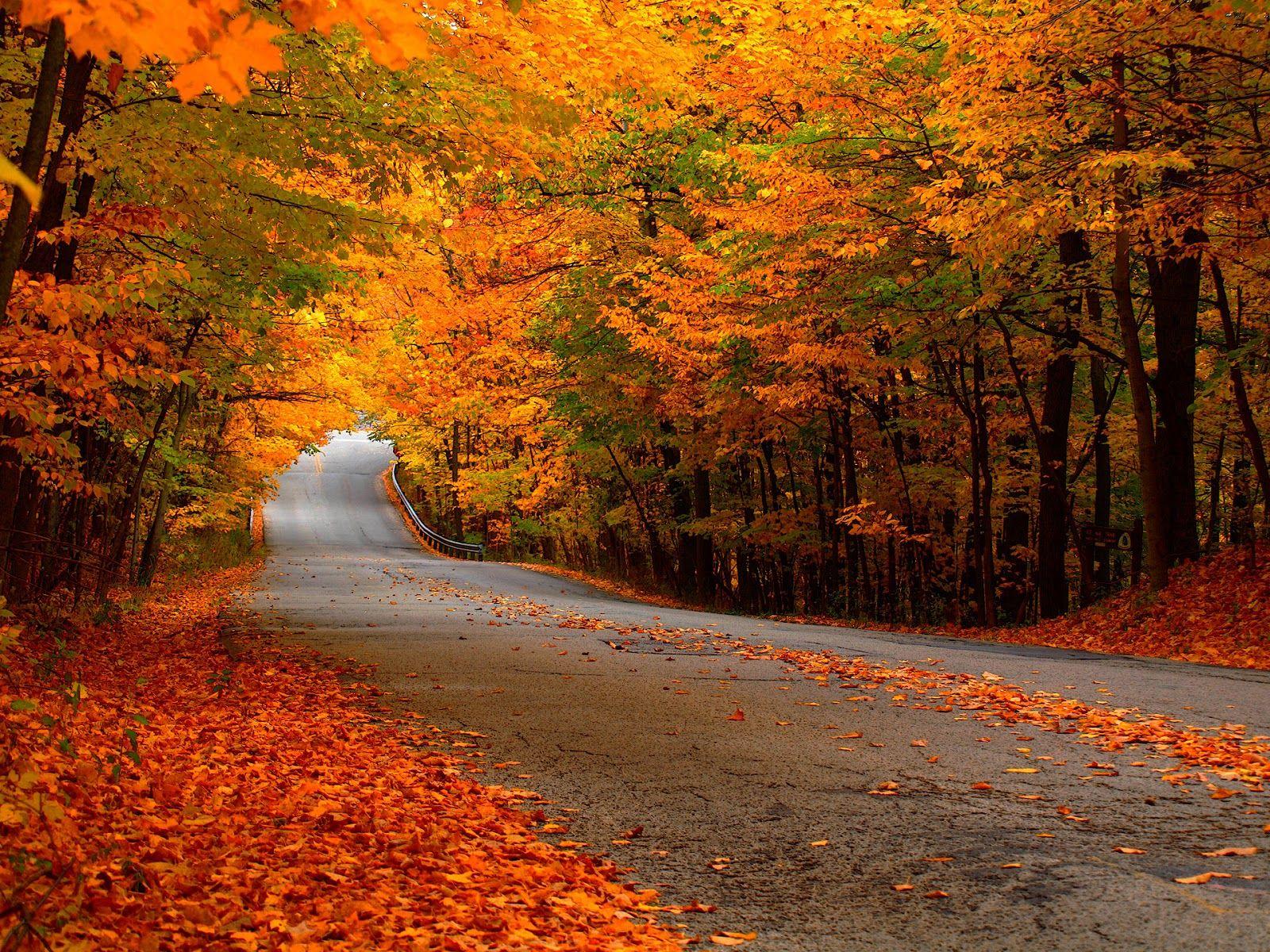 Plain Autumn Wallpapers - Top Free Plain Autumn Backgrounds ...