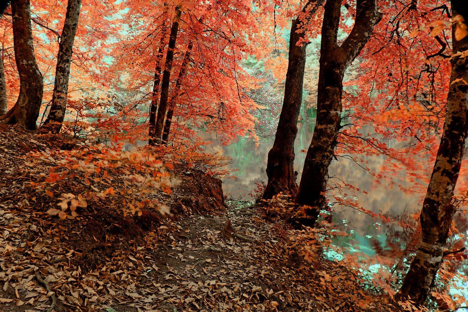 Early Autumn Wallpapers - Top Free Early Autumn Backgrounds ...