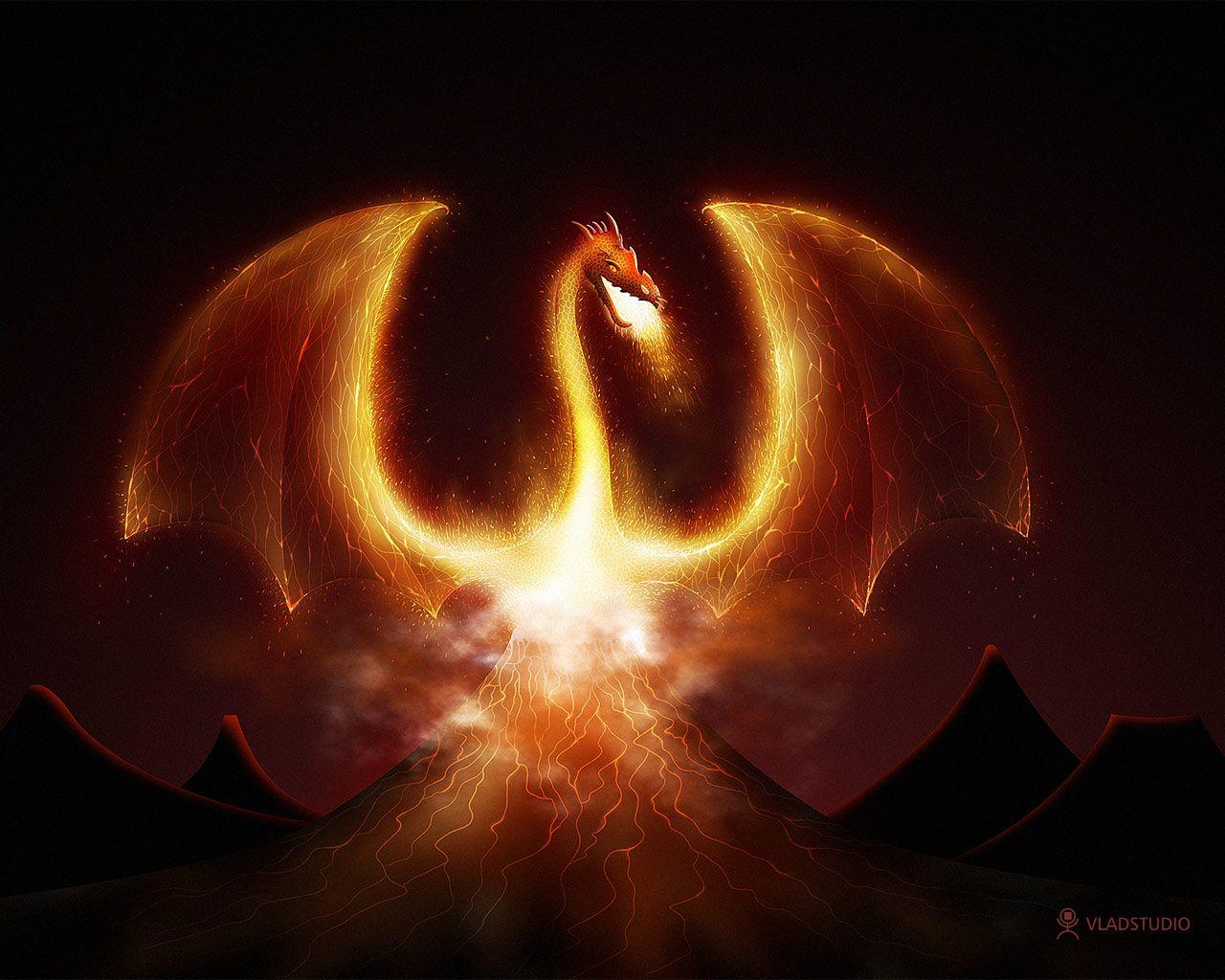 Amazing Fire Dragon Wallpapers - Top Free Amazing Fire Dragon ...