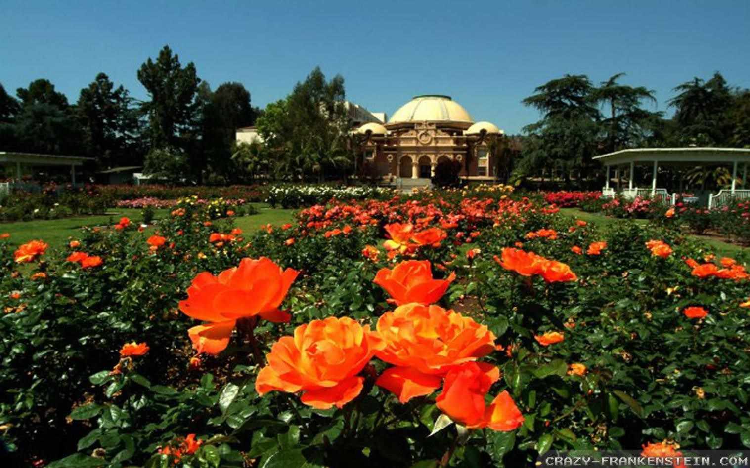 Odd Wallpapers - Top Free Odd Backgrounds - WallpaperAccess