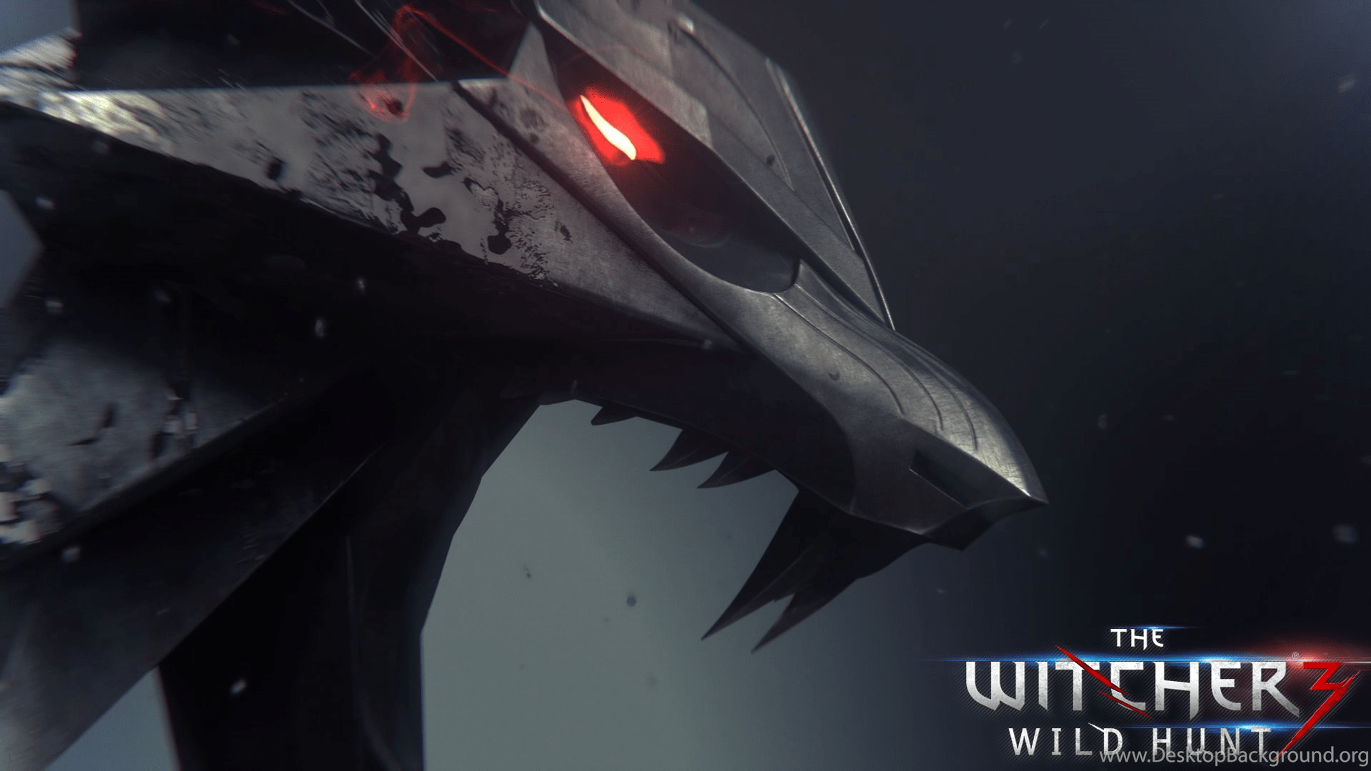 Witcher Wolf Wallpapers - Top Free Witcher Wolf Backgrounds ...