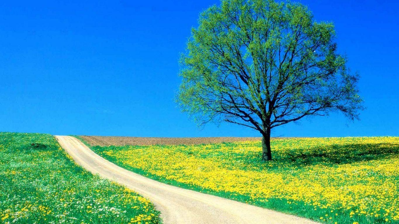 Sunny Landscape Desktop Wallpapers - Top Free Sunny Landscape Desktop ...
