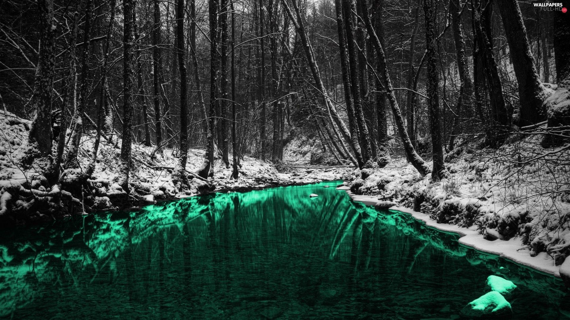 Green River Wallpapers - Top Free Green River Backgrounds - WallpaperAccess