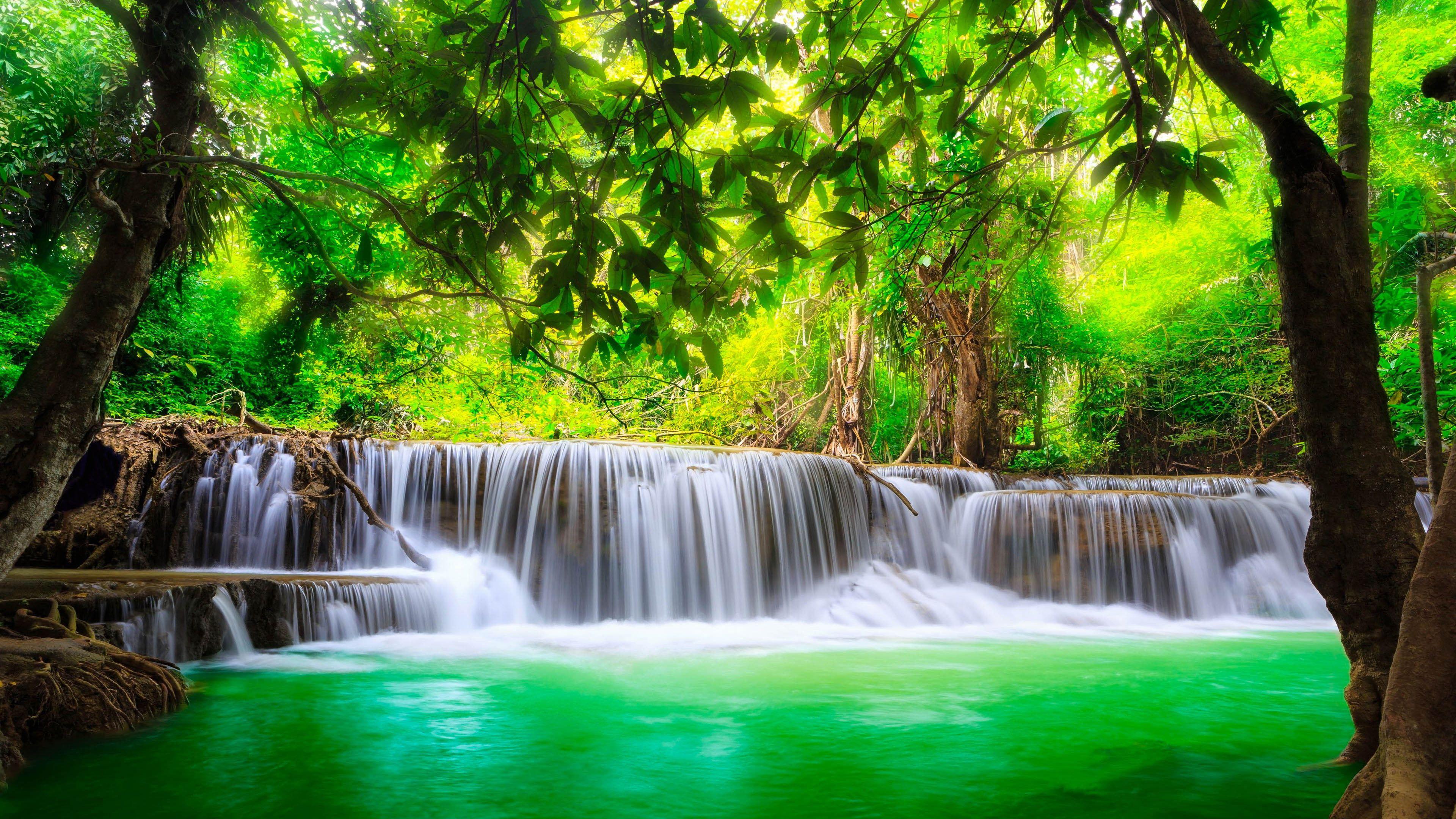 Beautiful Green Nature Wallpapers - Top Free Beautiful Green Nature ...