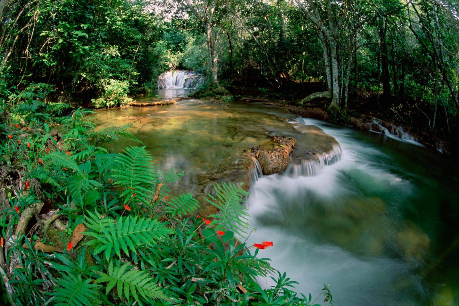 Green River Wallpapers - Top Free Green River Backgrounds - WallpaperAccess