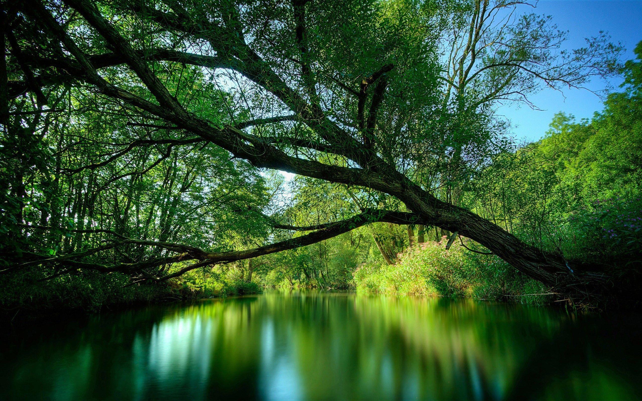 Spring River Wallpapers - Top Free Spring River Backgrounds ...
