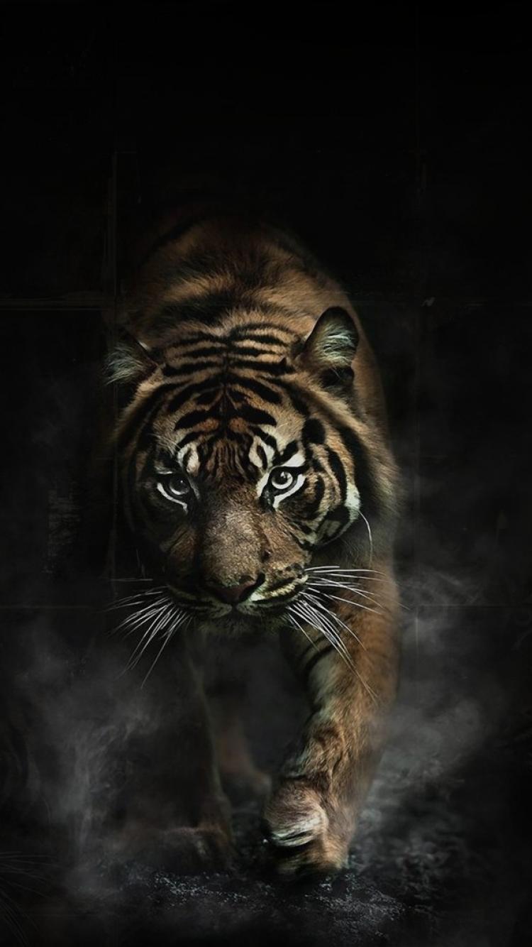 Black Dangerous Wallpapers - Top Free Black Dangerous Backgrounds ...