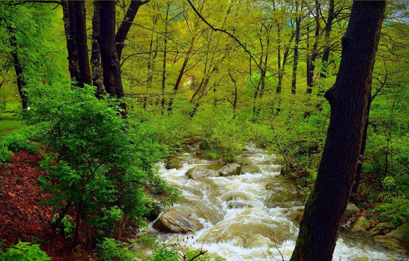 Spring River Wallpapers - Top Free Spring River Backgrounds ...