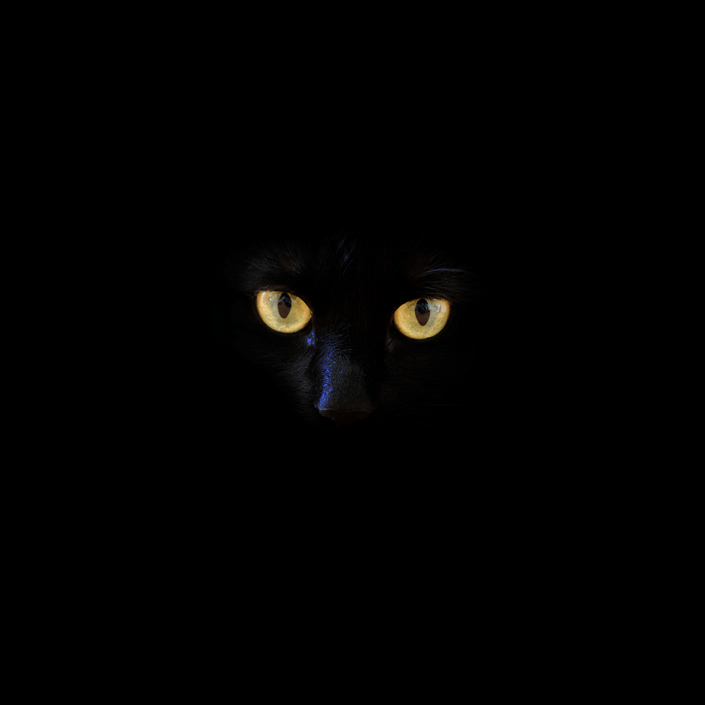 Black Dangerous Wallpapers - Top Free Black Dangerous Backgrounds ...