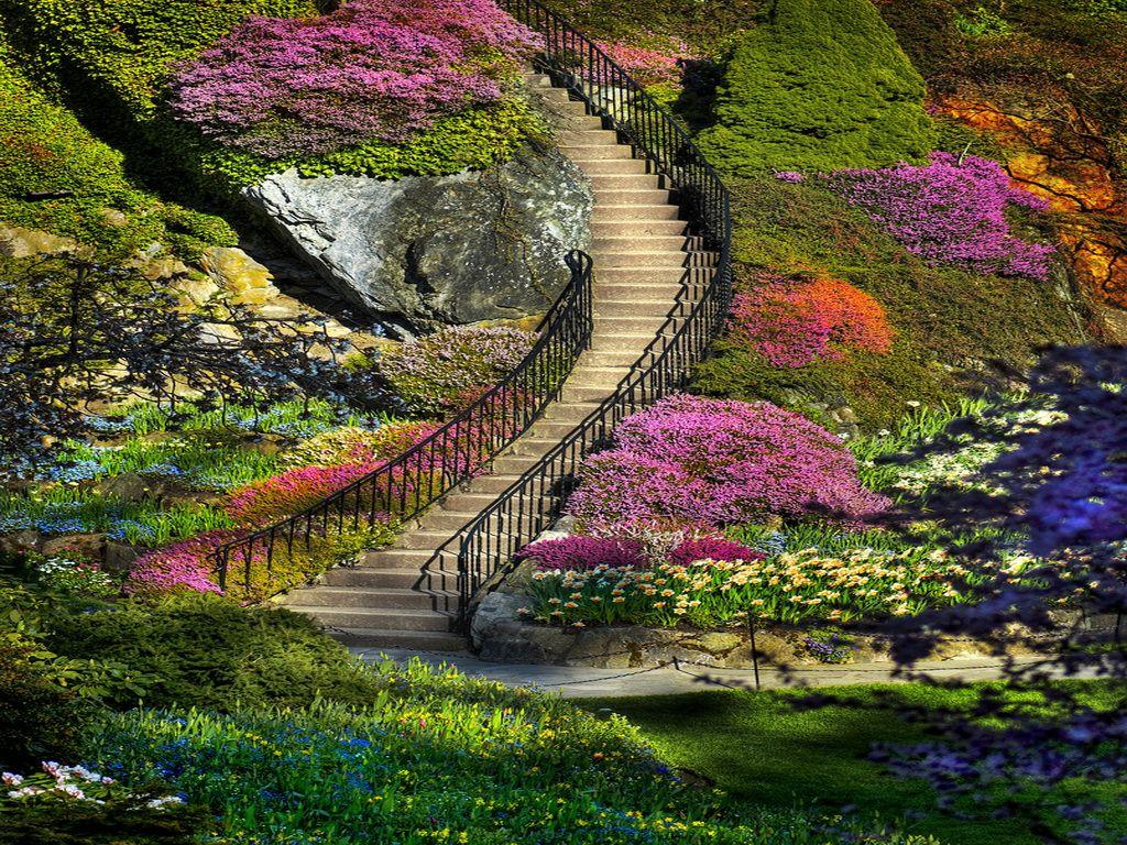 Chinese Garden Wallpapers - Top Free Chinese Garden Backgrounds ...