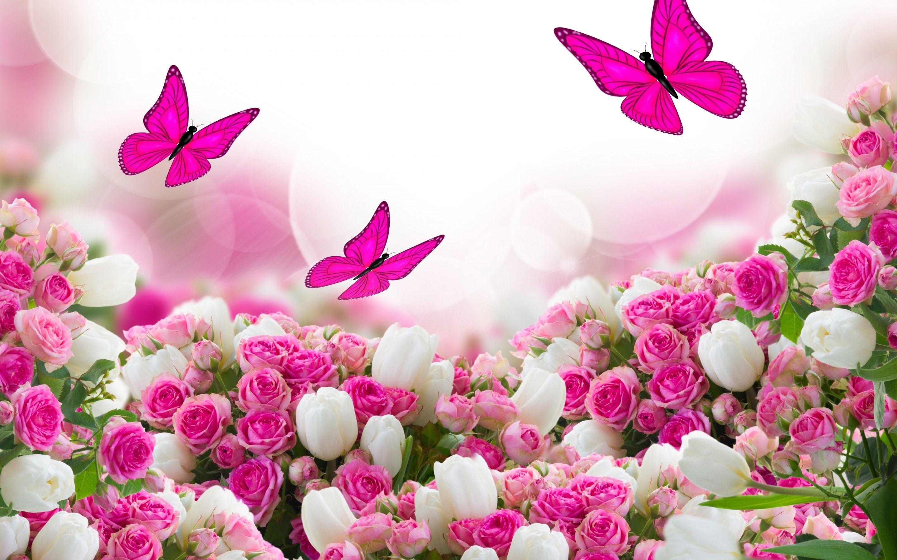 Flowers Landscape Wallpapers - Top Free Flowers Landscape Backgrounds ...