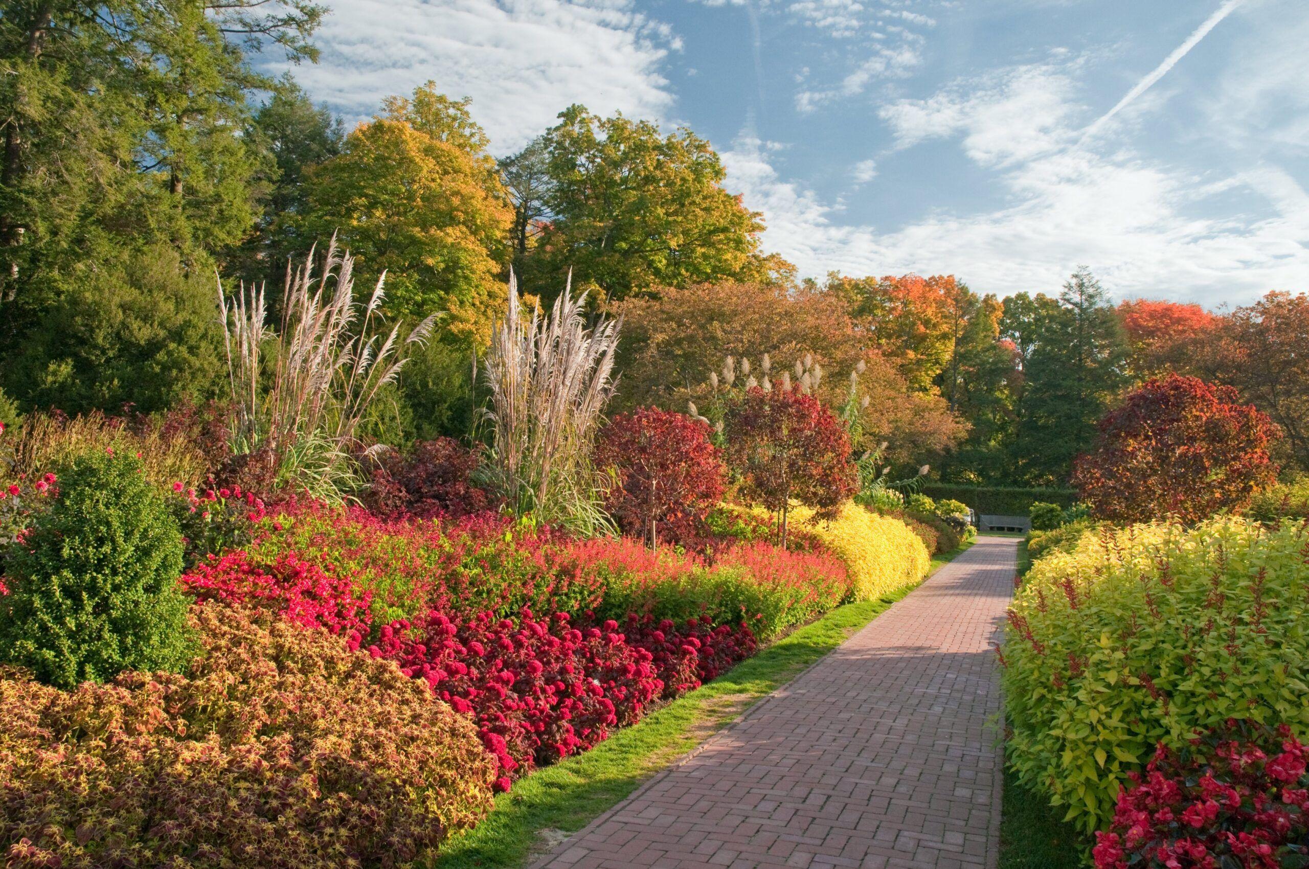 Flowers Landscape Wallpapers - Top Free Flowers Landscape Backgrounds ...