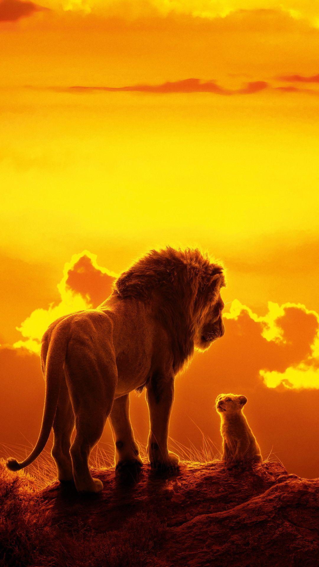 Movie 8K Wallpapers - Top Free Movie 8K Backgrounds - WallpaperAccess