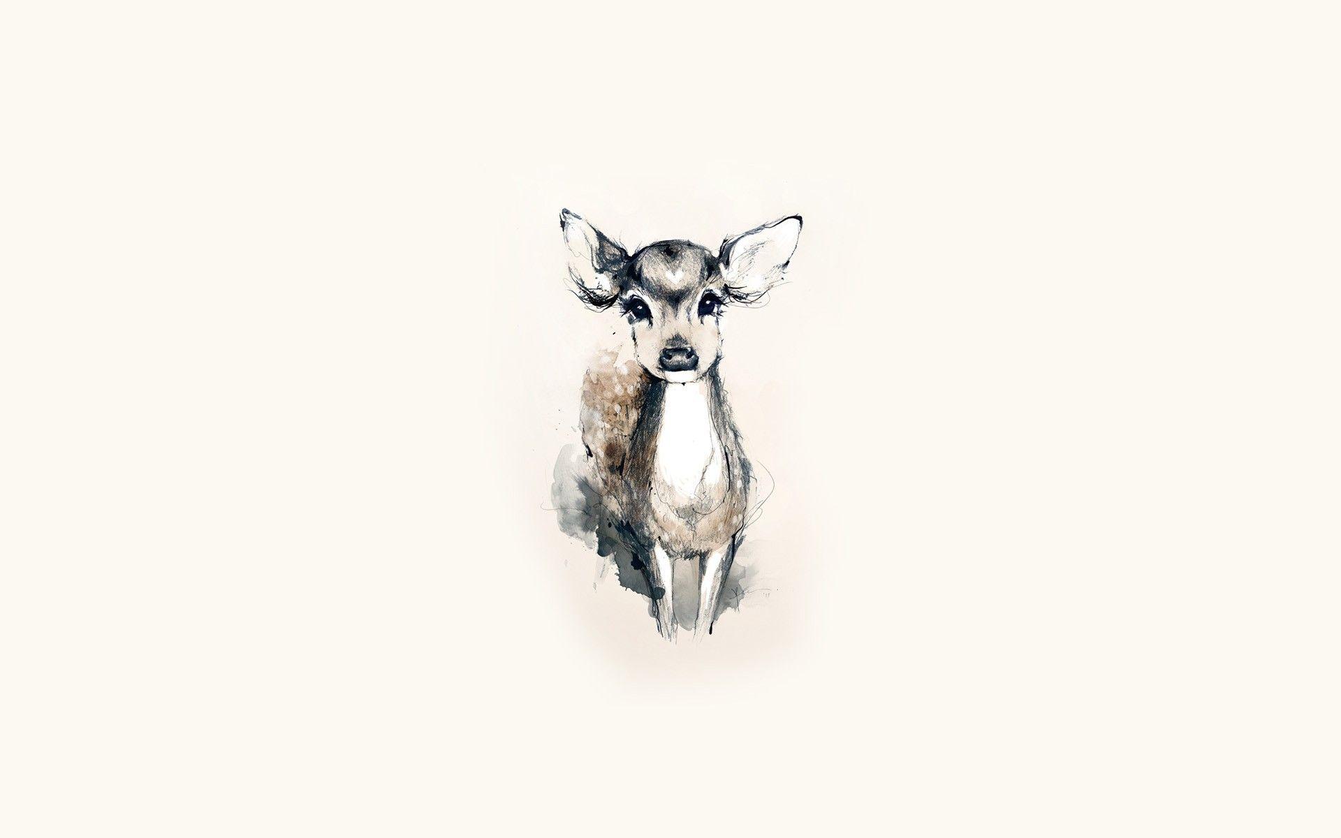 Minimalist Deer Wallpapers - Top Free Minimalist Deer Backgrounds ...