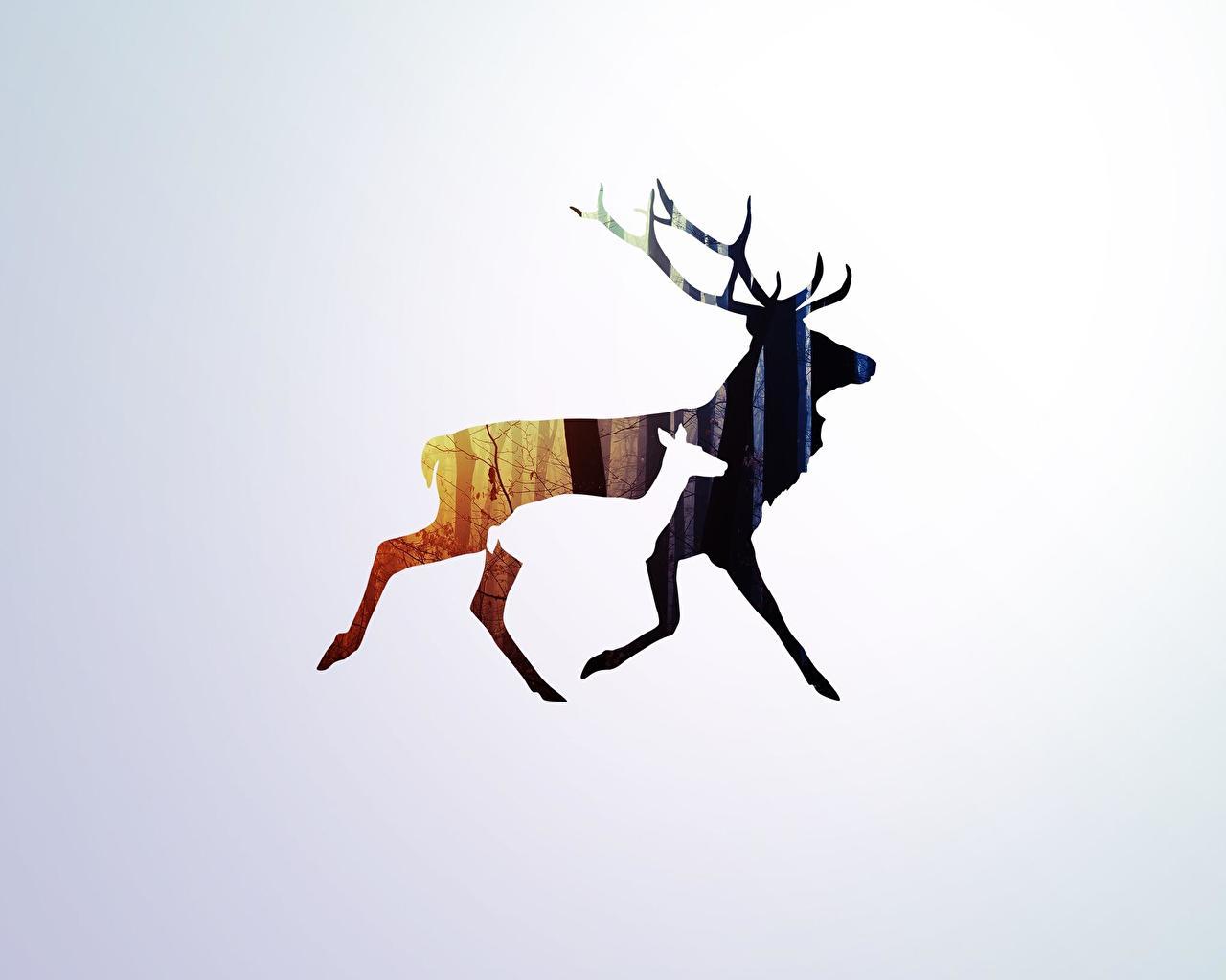 Minimalist Deer Wallpapers - Top Free Minimalist Deer Backgrounds ...