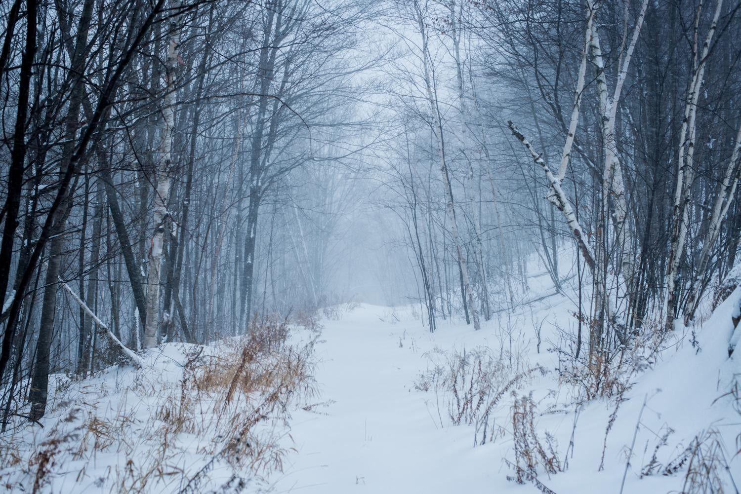 Quebec Winter Wallpapers - Top Free Quebec Winter Backgrounds ...
