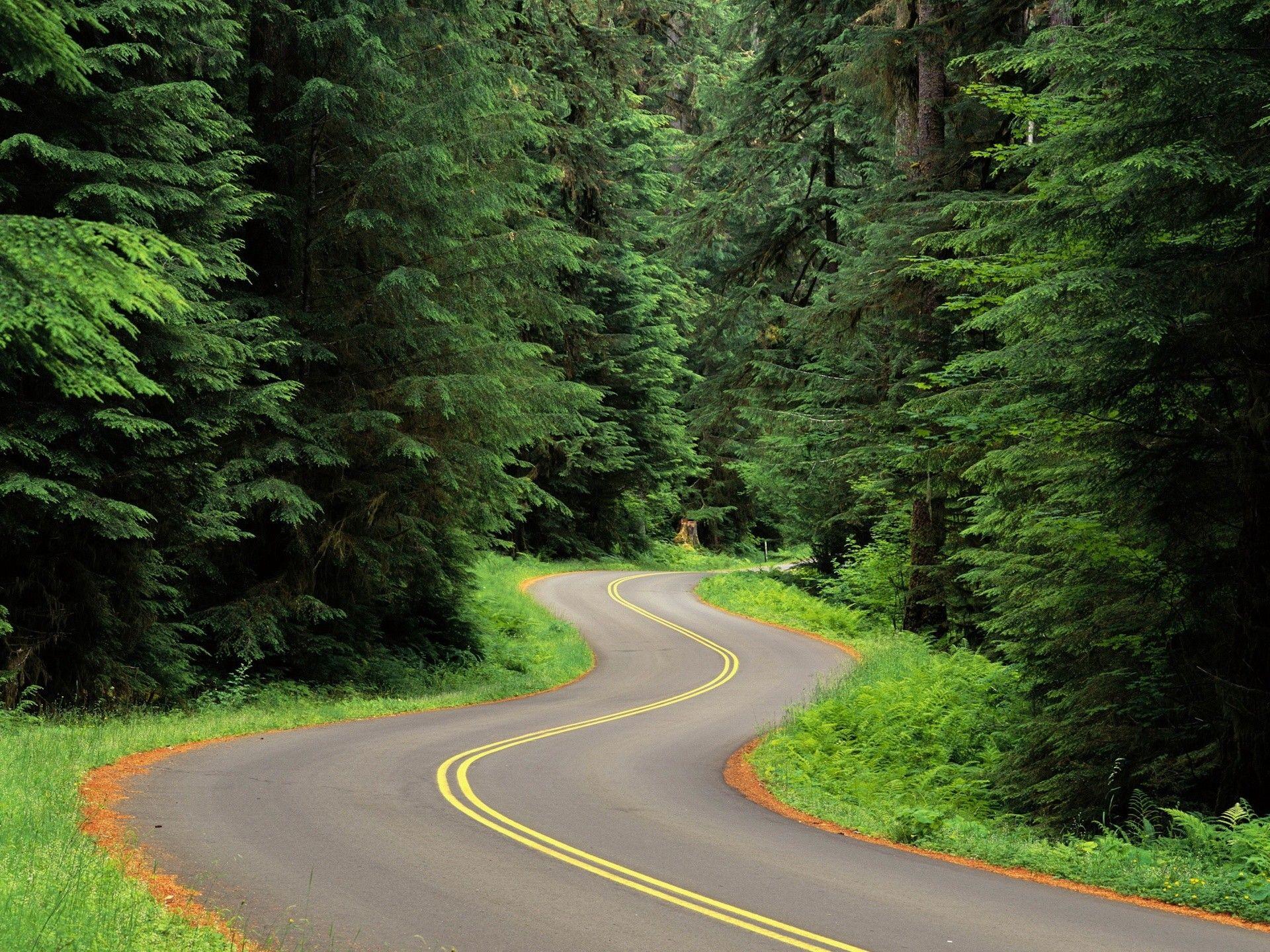 Winding Road Wallpapers - Top Free Winding Road Backgrounds ...