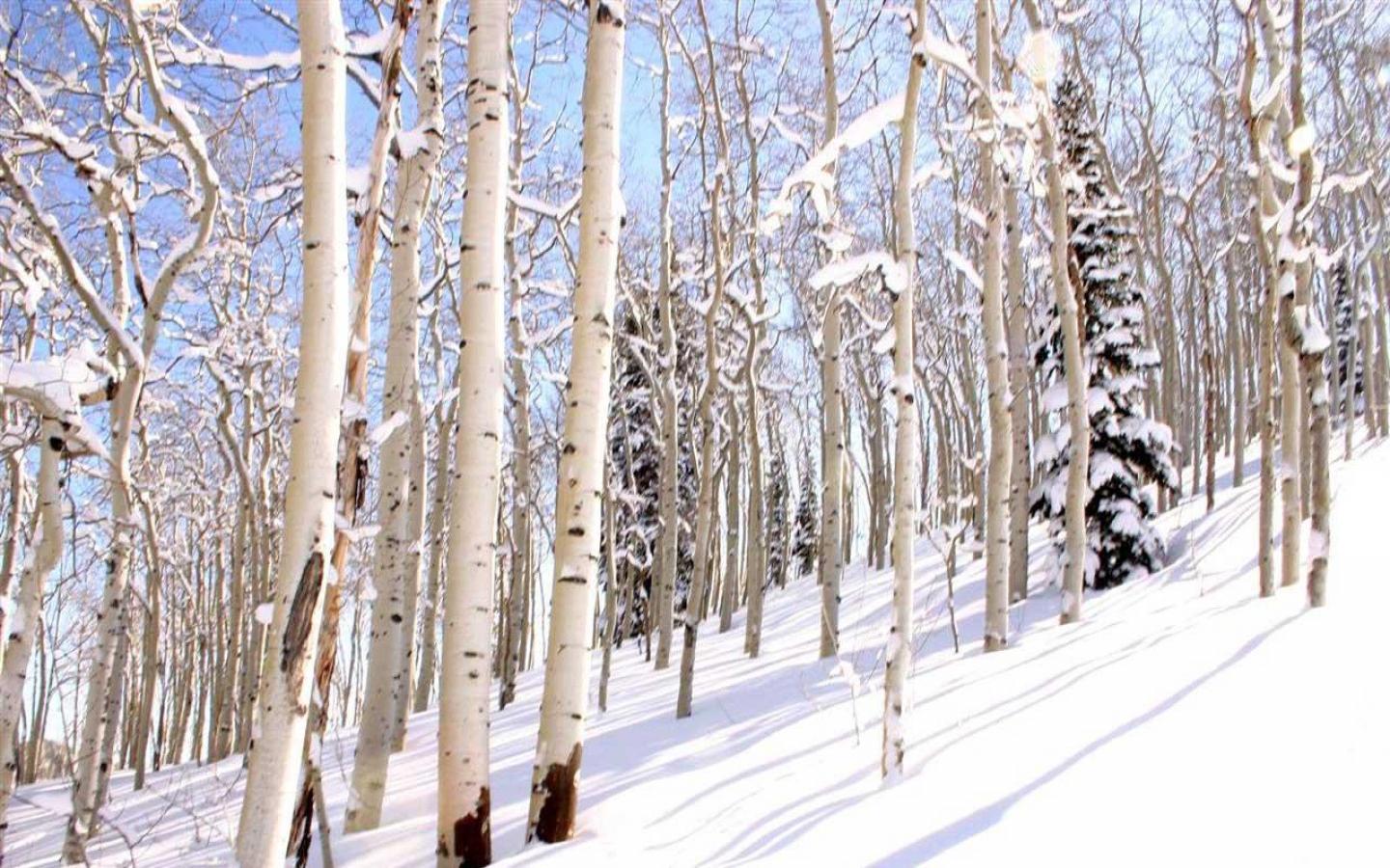 Utah Winter Wallpapers - Top Free Utah Winter Backgrounds - WallpaperAccess