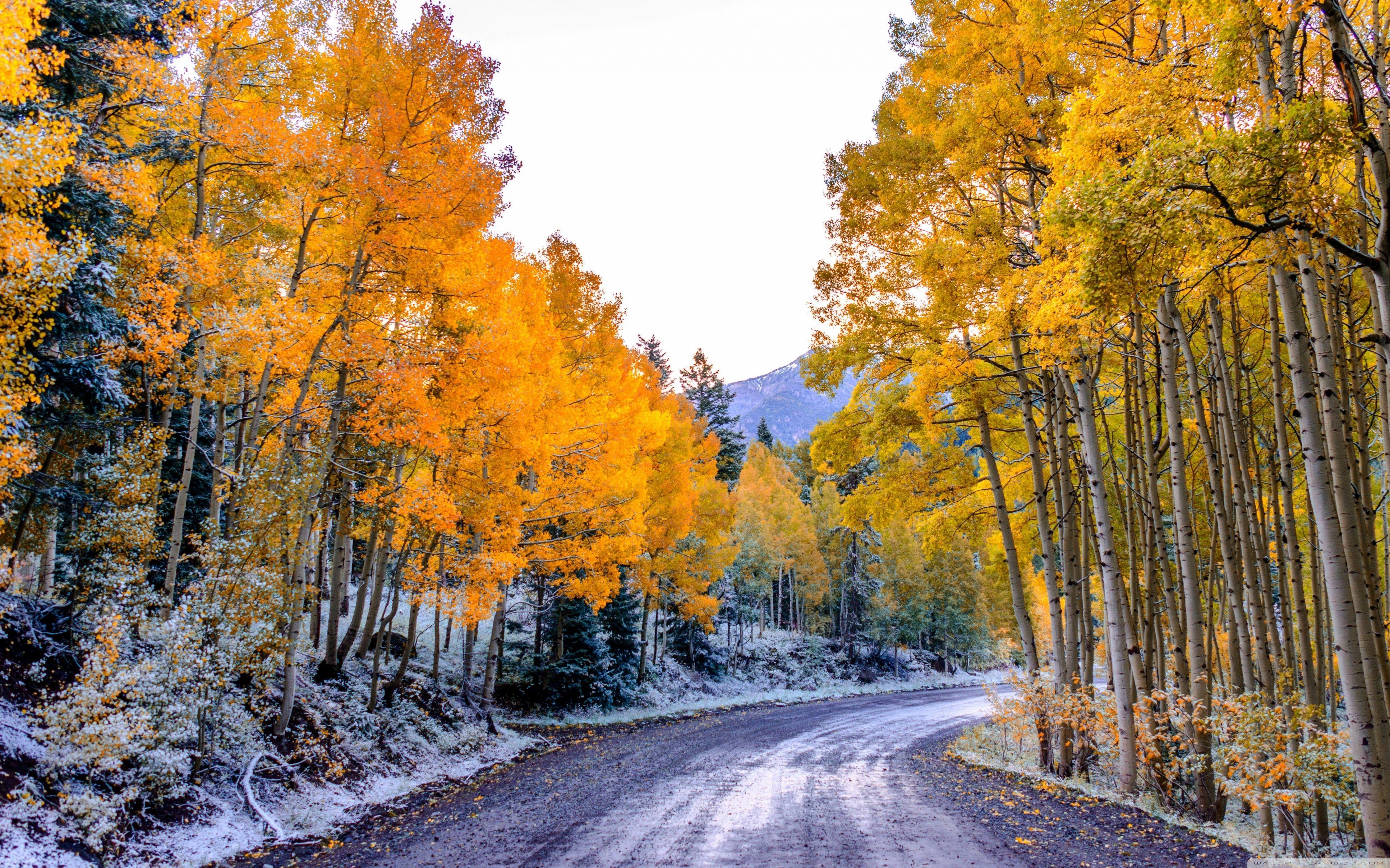 Utah Winter Wallpapers - Top Free Utah Winter Backgrounds - WallpaperAccess