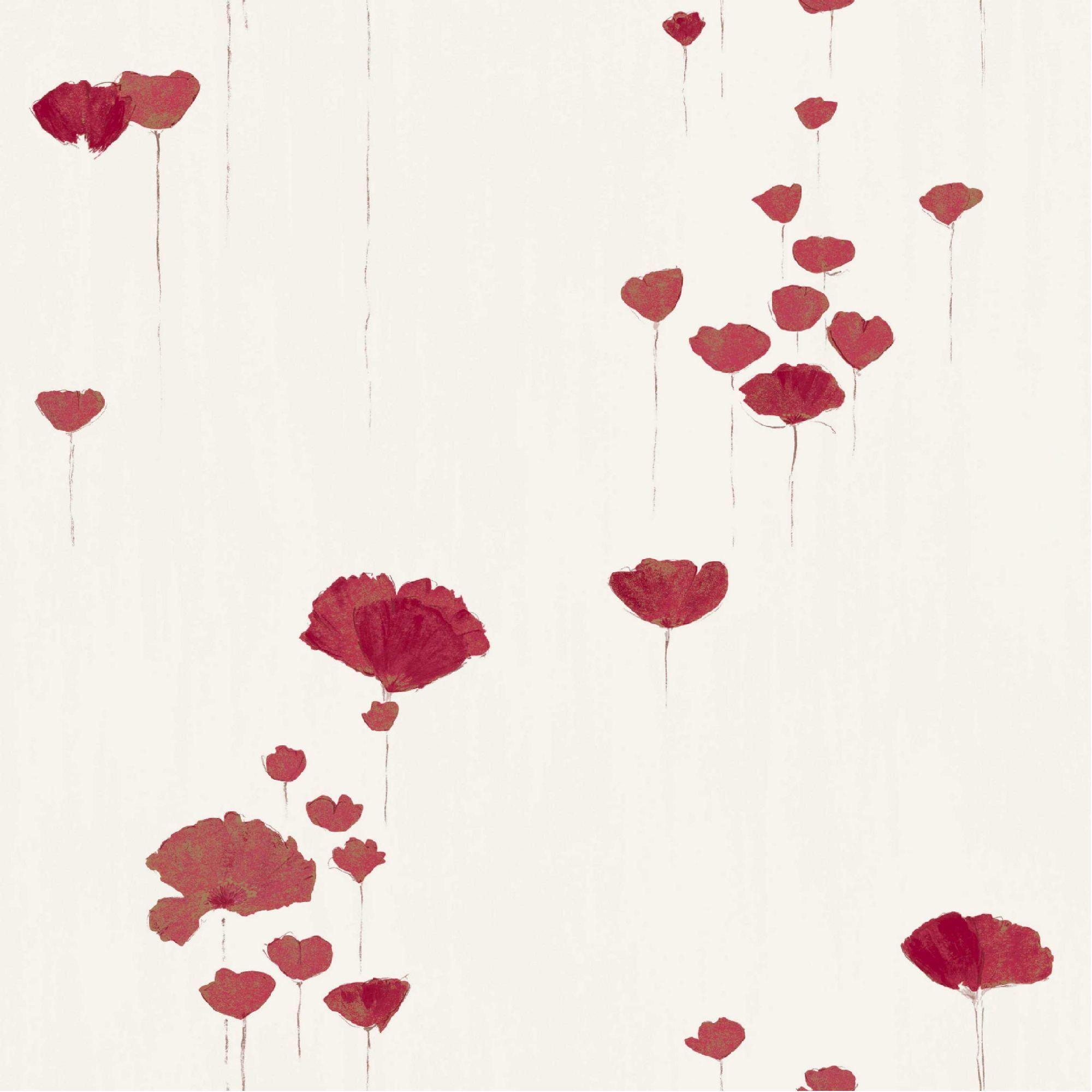 Poppy Wallpapers - Top Free Poppy Backgrounds - WallpaperAccess