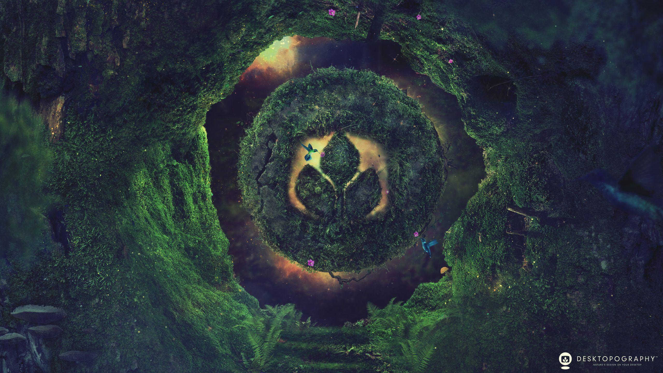 Nature Heart Wallpapers - Top Free Nature Heart Backgrounds ...