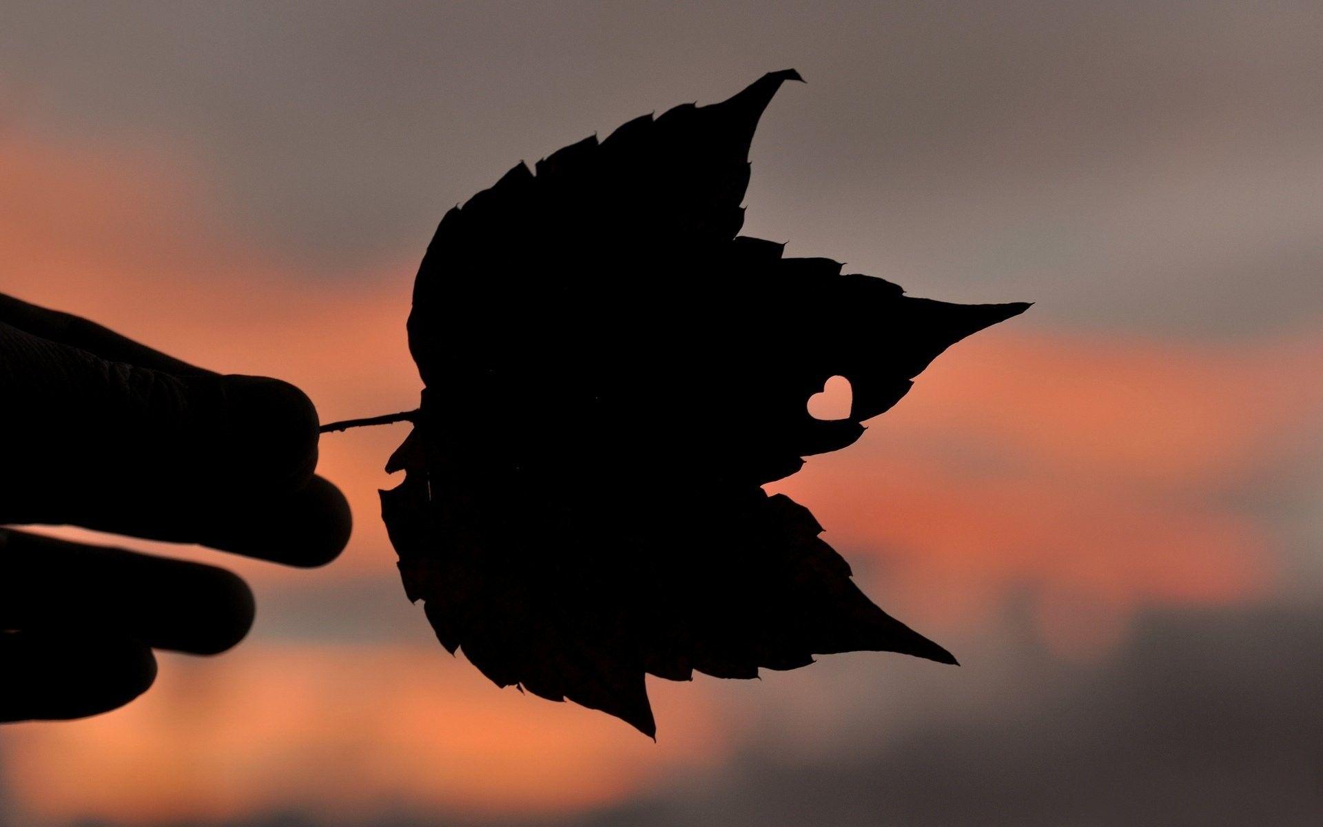 Nature Heart Wallpapers - Top Free Nature Heart Backgrounds ...