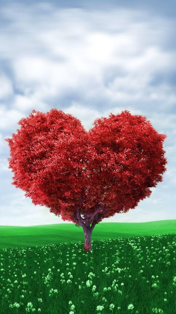 Nature Heart Wallpapers - Top Free Nature Heart Backgrounds ...