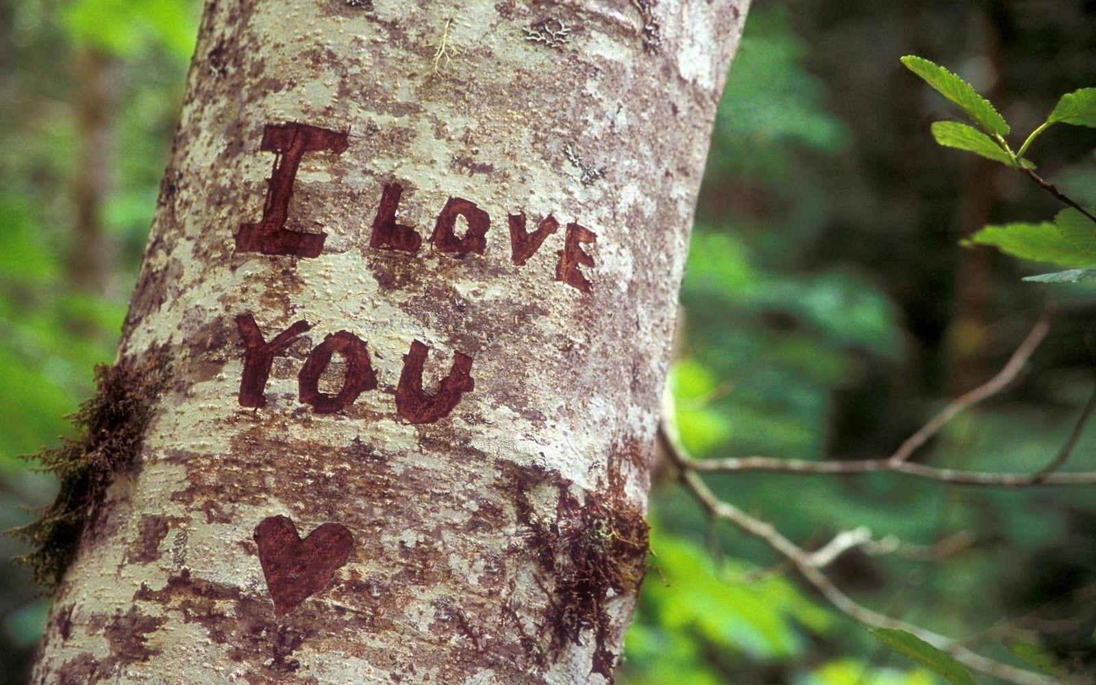 Nature Heart Wallpapers - Top Free Nature Heart Backgrounds ...