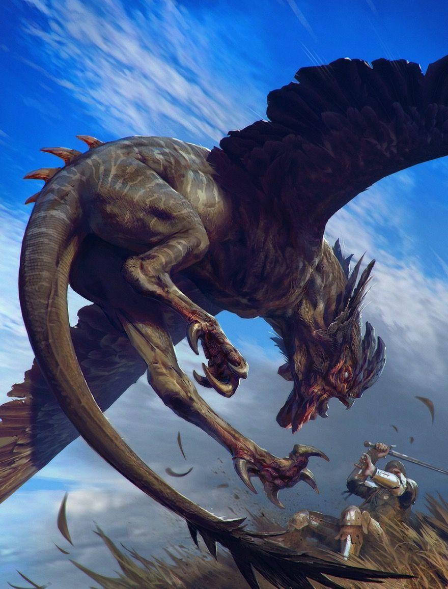 Cockatrice Wallpapers - Top Free Cockatrice Backgrounds - WallpaperAccess