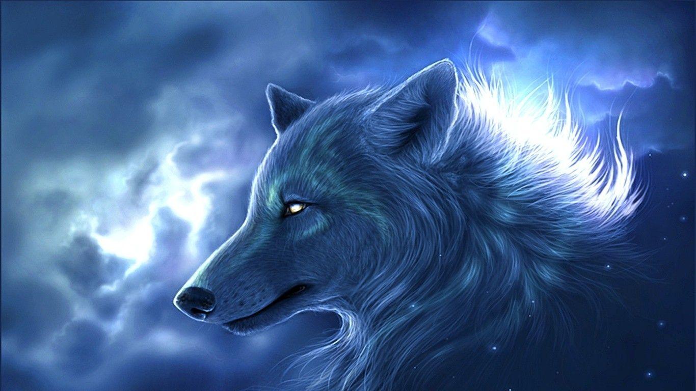 Midnight Wolf Wallpapers - Top Free Midnight Wolf Backgrounds ...