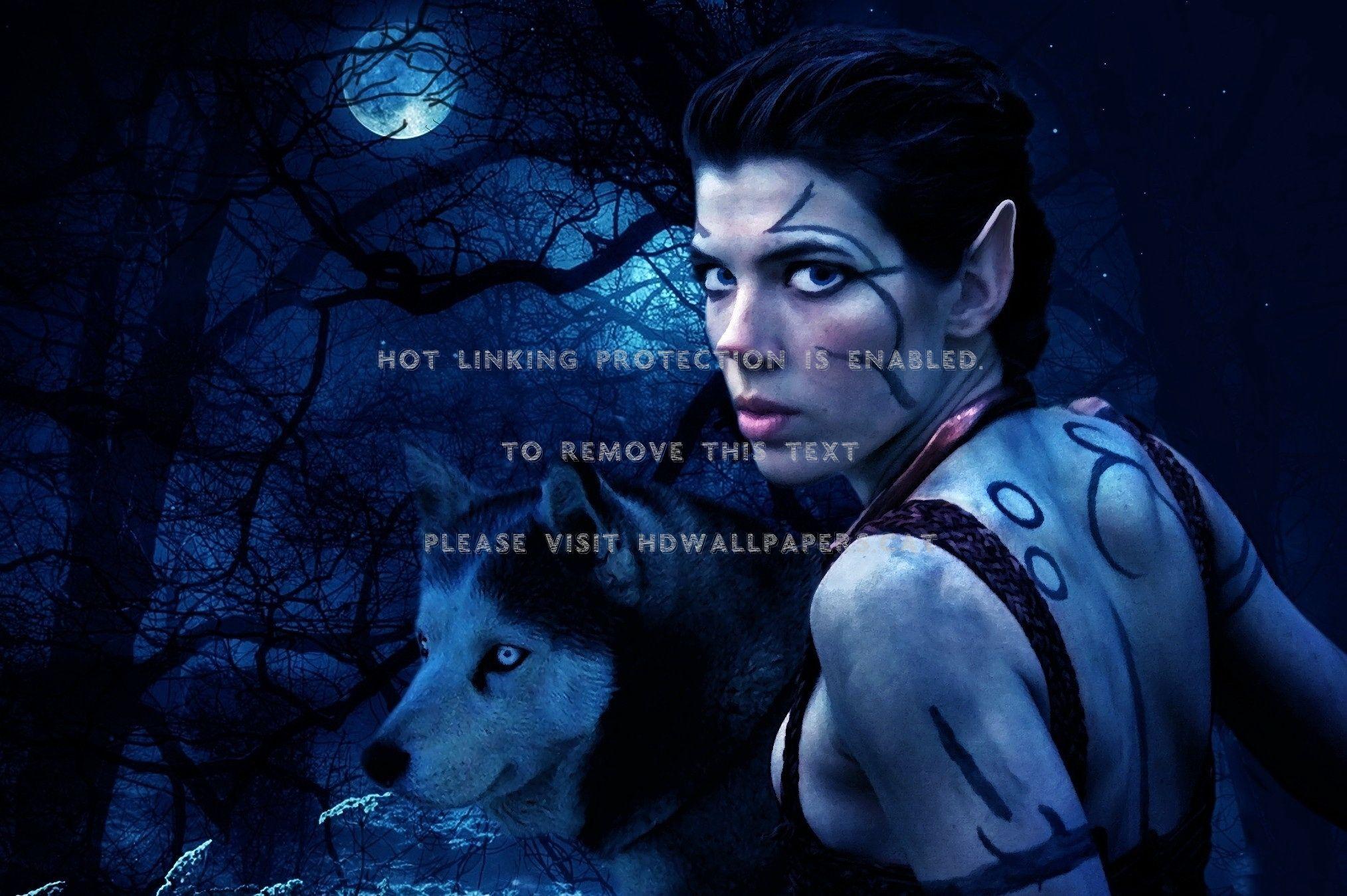 Midnight Wolf Wallpapers - Top Free Midnight Wolf Backgrounds ...