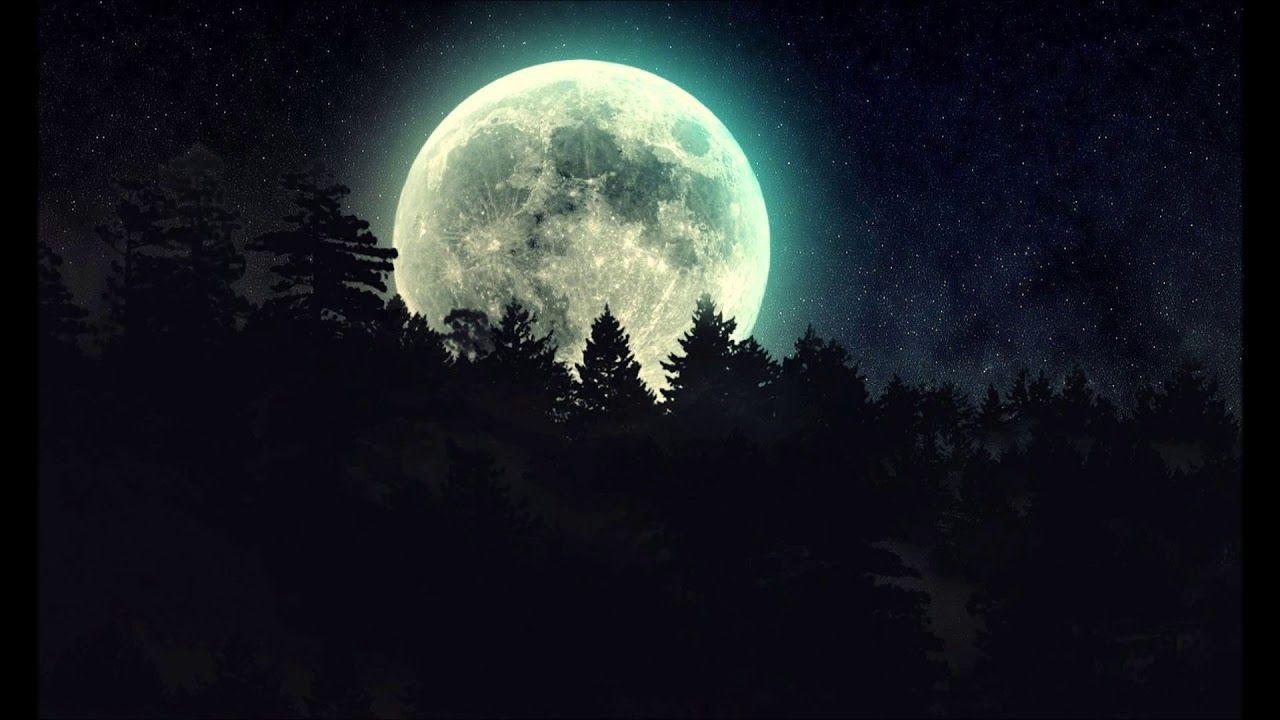 Midnight Wolf Wallpapers - Top Free Midnight Wolf Backgrounds ...