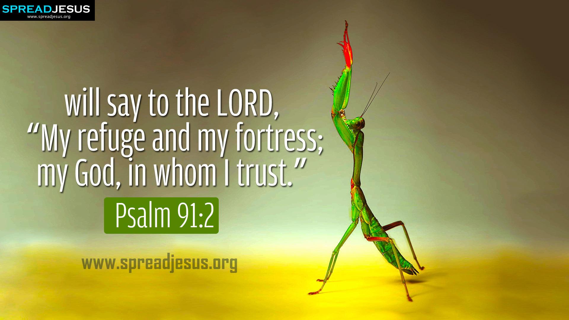 Psalm 91 Wallpapers - Top Free Psalm 91 Backgrounds - WallpaperAccess