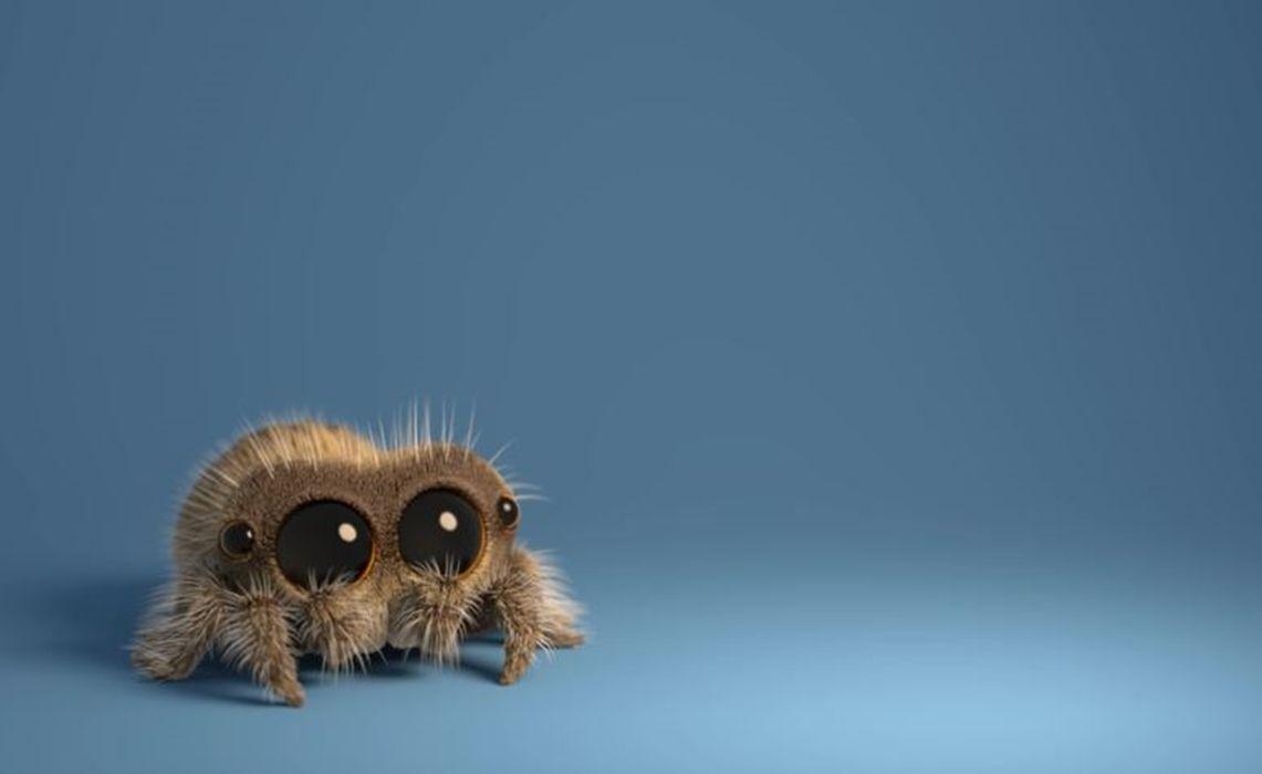 Cute Spider Desktop Wallpapers - Top Free Cute Spider Desktop ...