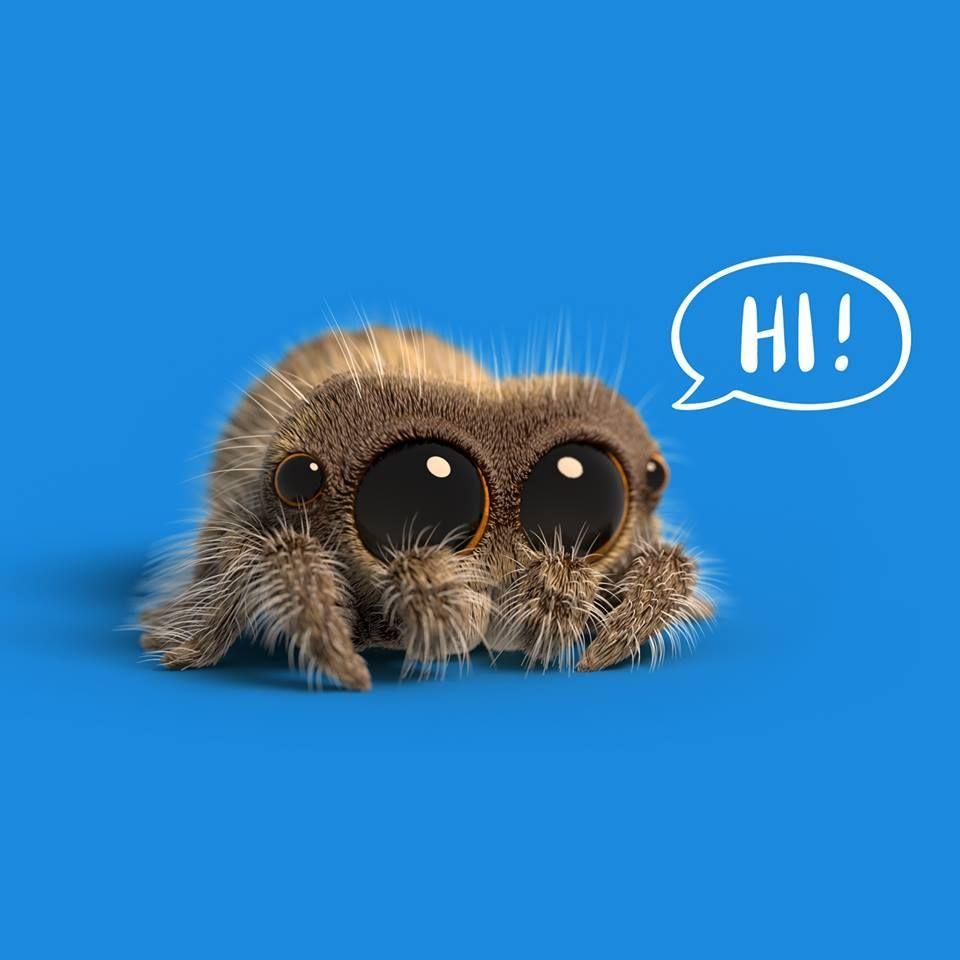 Cute Spider Wallpapers - Top Free Cute Spider Backgrounds - WallpaperAccess