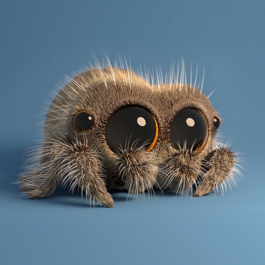 Cute Spider Wallpapers - Top Free Cute Spider Backgrounds - WallpaperAccess