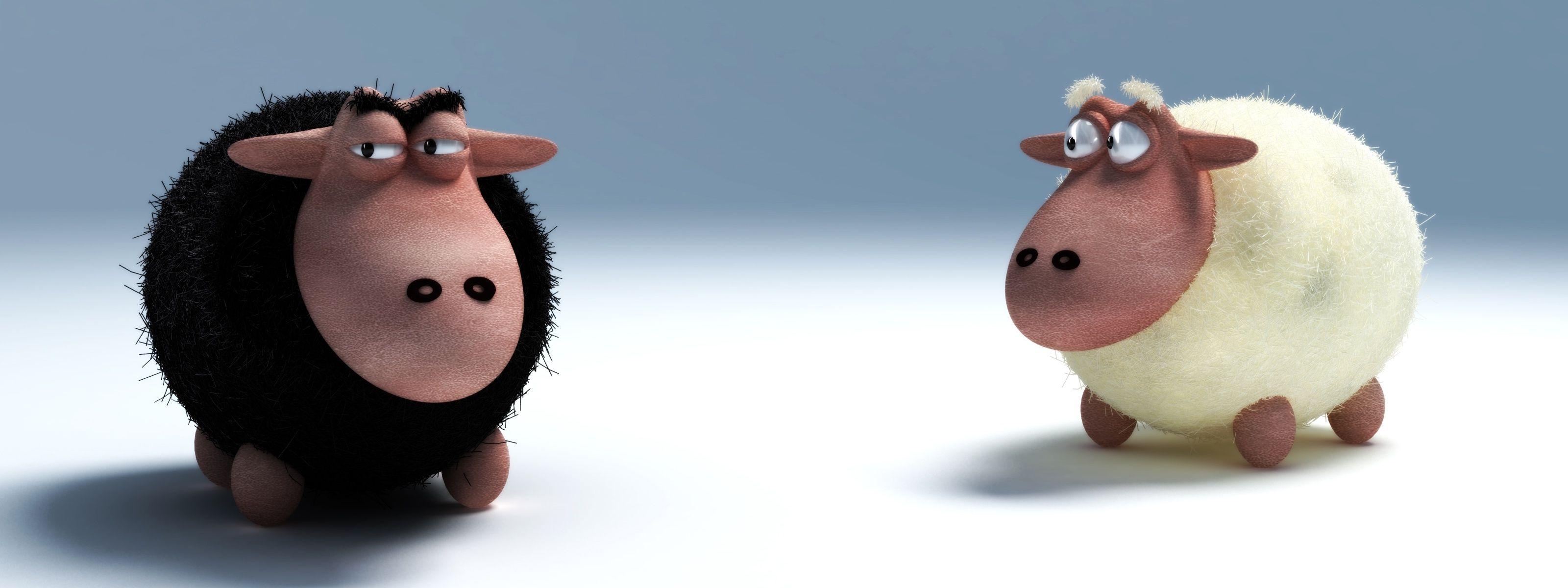 Dual Monitor Cat Wallpapers - Top Free Dual Monitor Cat Backgrounds ...