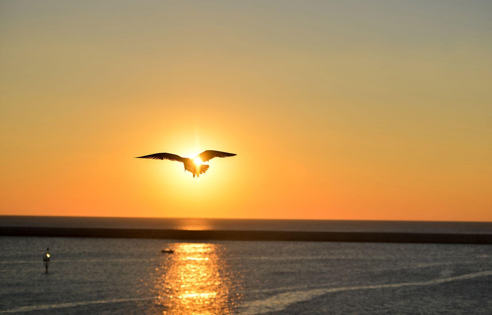 Amazing Life Wallpapers - Top Free Amazing Life Backgrounds ...